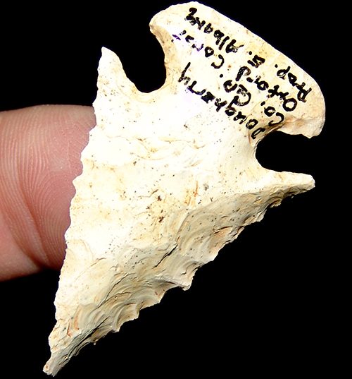 Artifacts Guide- Oxford Dovetail Bolen